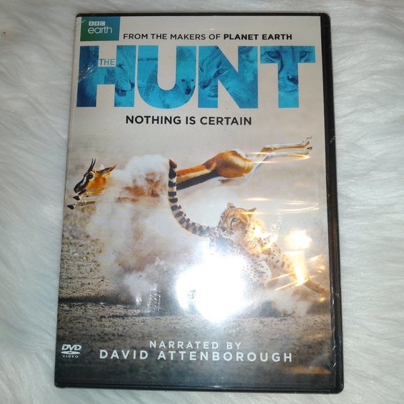 Media | Bbc Earth The Hunt Nothing Is Certain Wildlife Documentary ...